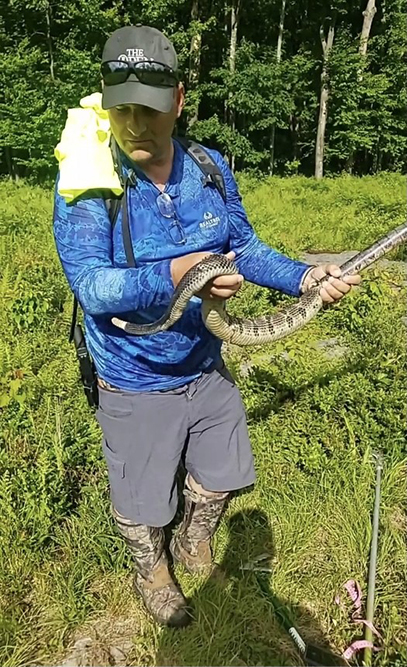 Valley officers keep eyes on snakes | News, Sports, Jobs - Tribune ...